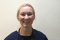 Teilo Vets In Llandeilo | Vets In Ammanford