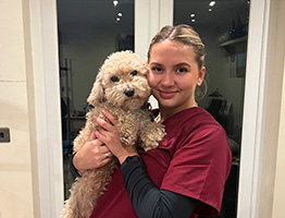 Teilo Vets In Llandeilo | Vets In Ammanford